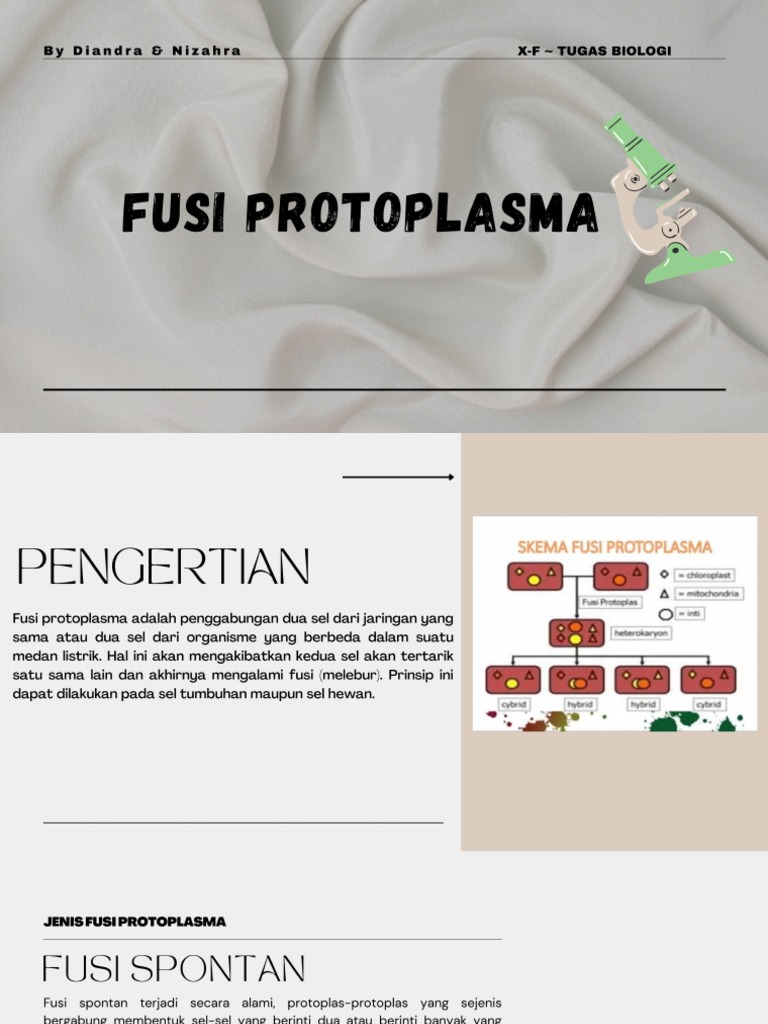 Fusi Protoplasma | PDF