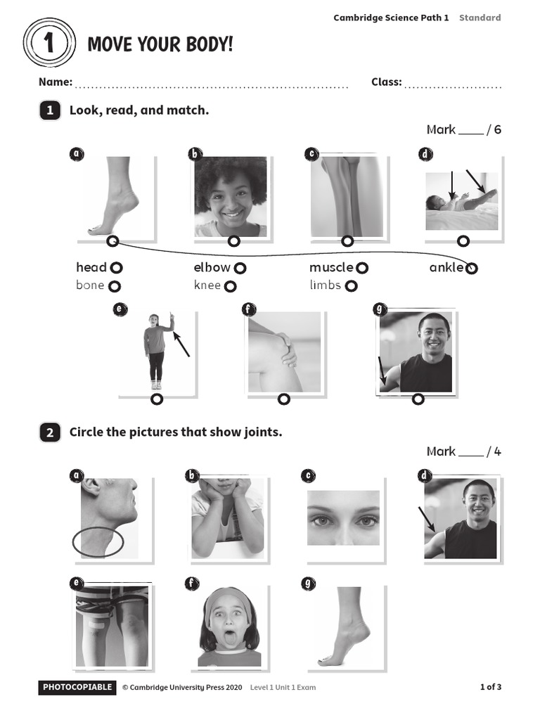 Move Your Body - Unit 1 | PDF | Human Anatomy | Anatomy