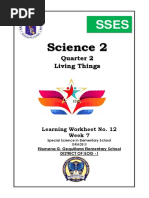 Grade 1 Physical Science States of Matter Worksheet | PDF