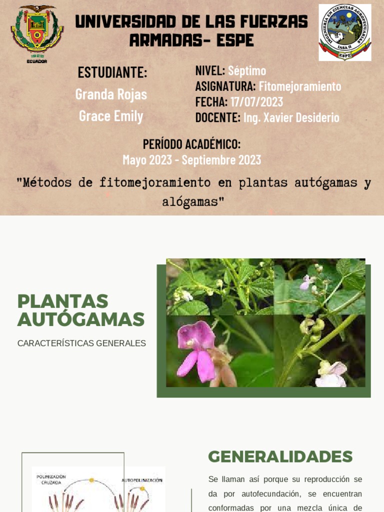 Métodos de Fitomejoramiento en Plantas Autógamas y Alógamas | PDF ... Métodos de Fitomejoramiento en Plantas Autógamas y Alógamas | PDF ...