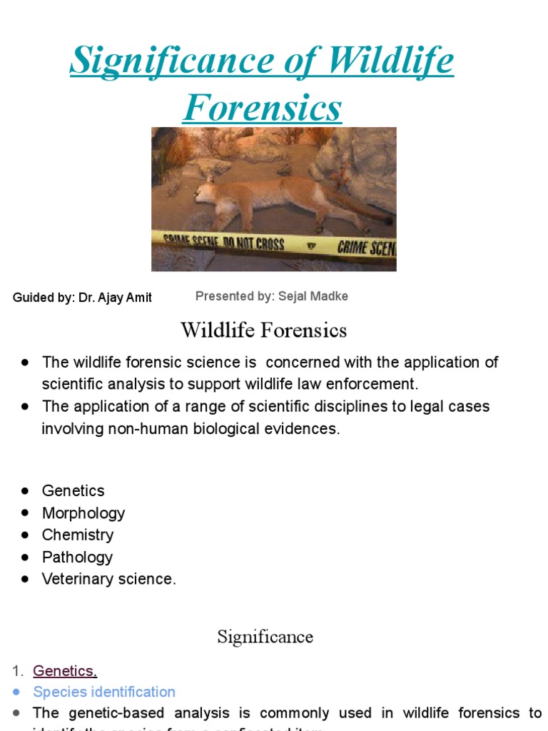 Urine | PDF | Forensic Science | Autopsy