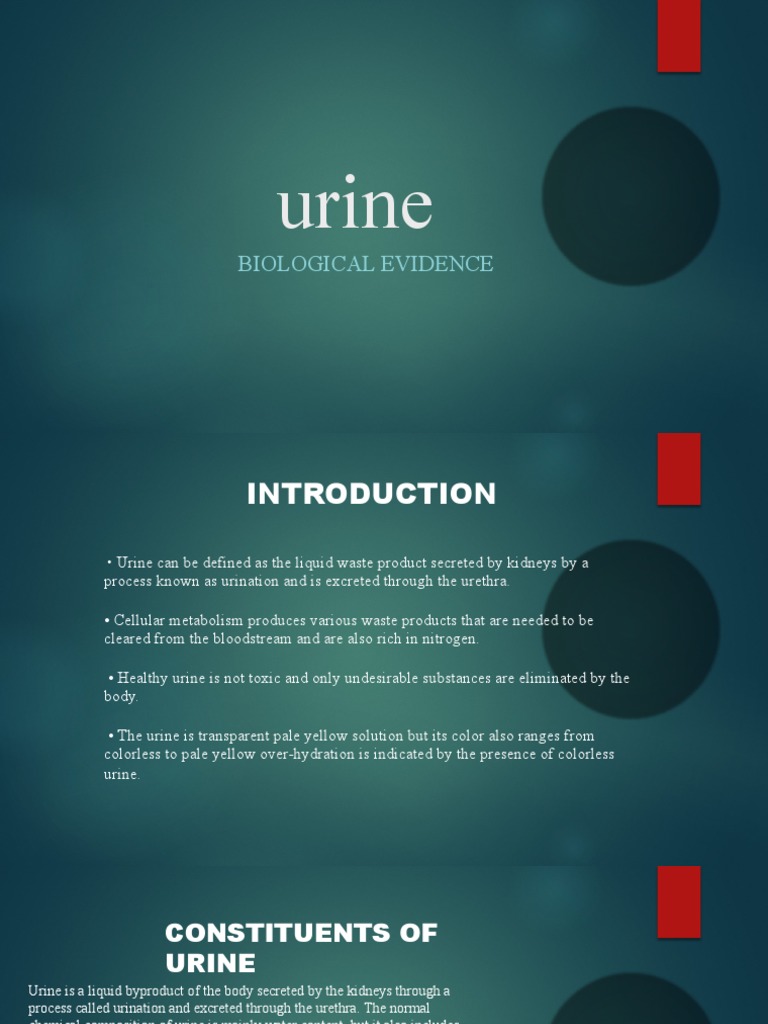 Urine | PDF | Urine | Medical Specialties