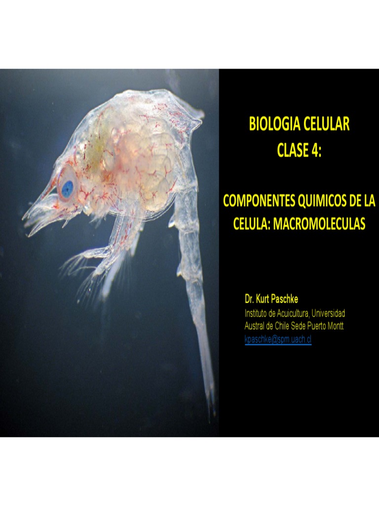 4°-Componentes Quimicos de Las Celulas 2 | Descargar gratis PDF | Ácido ... 4°-Componentes Quimicos de Las Celulas 2 | Descargar gratis PDF | Ácido ...
