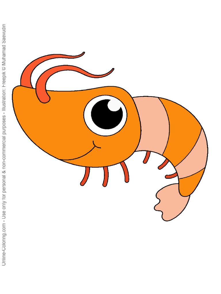Cartoon Shrimp - Fizam | PDF