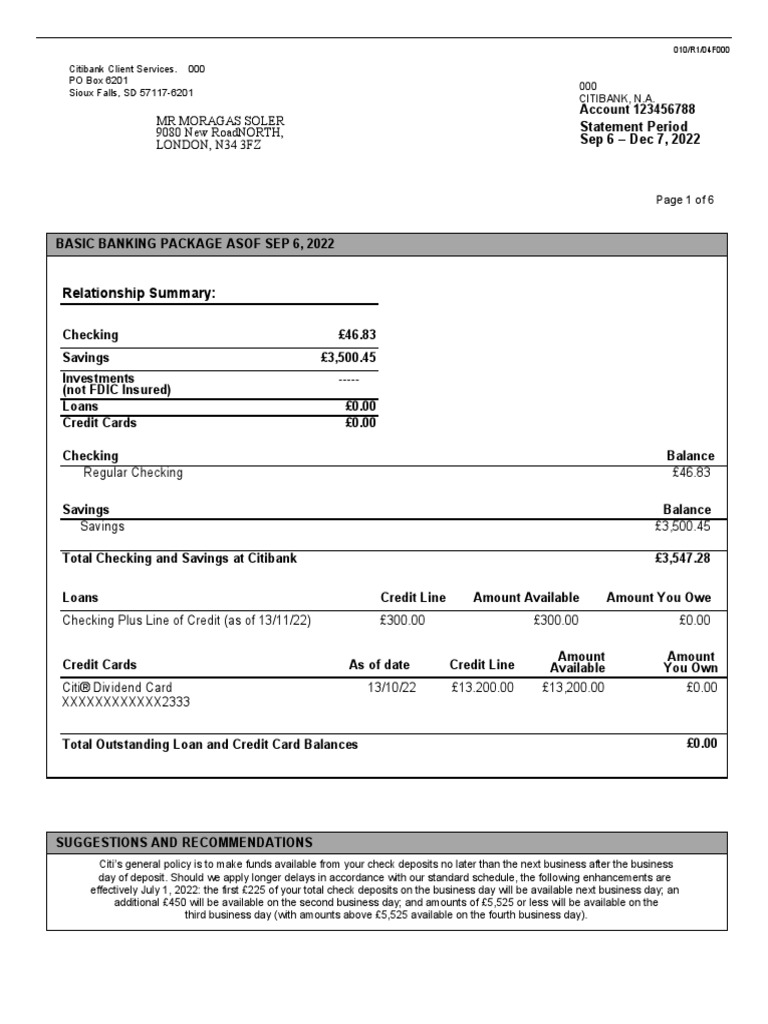 Citibank Bank Statement | PDF | Citigroup | Deposit Account