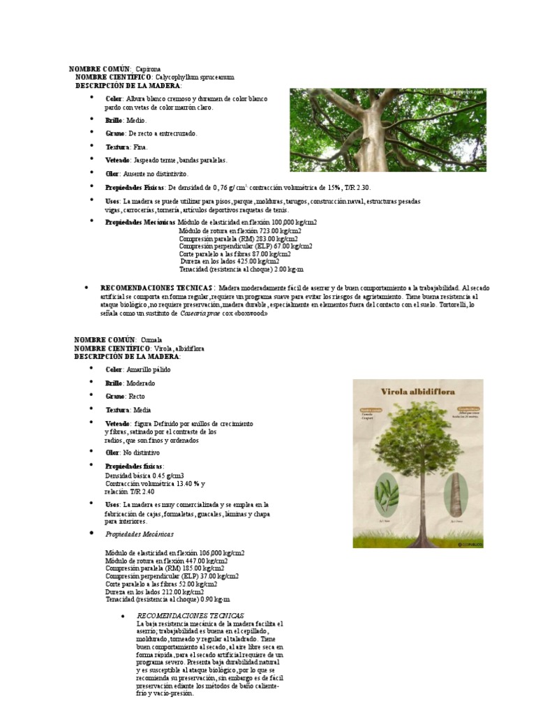 CAPIRONA Y CUMALA (1) | PDF | Madera | Ingeniería mecánica