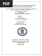 MSW Project Work Sample | PDF