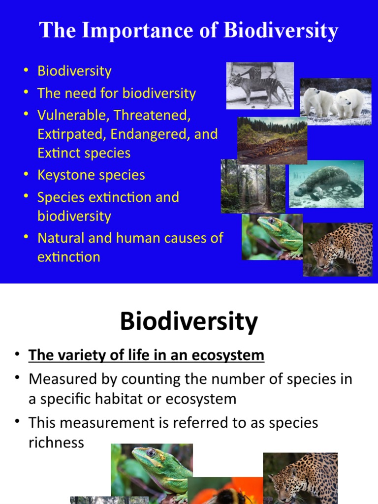 Biodiversity Pdf Biodiversity Extinction