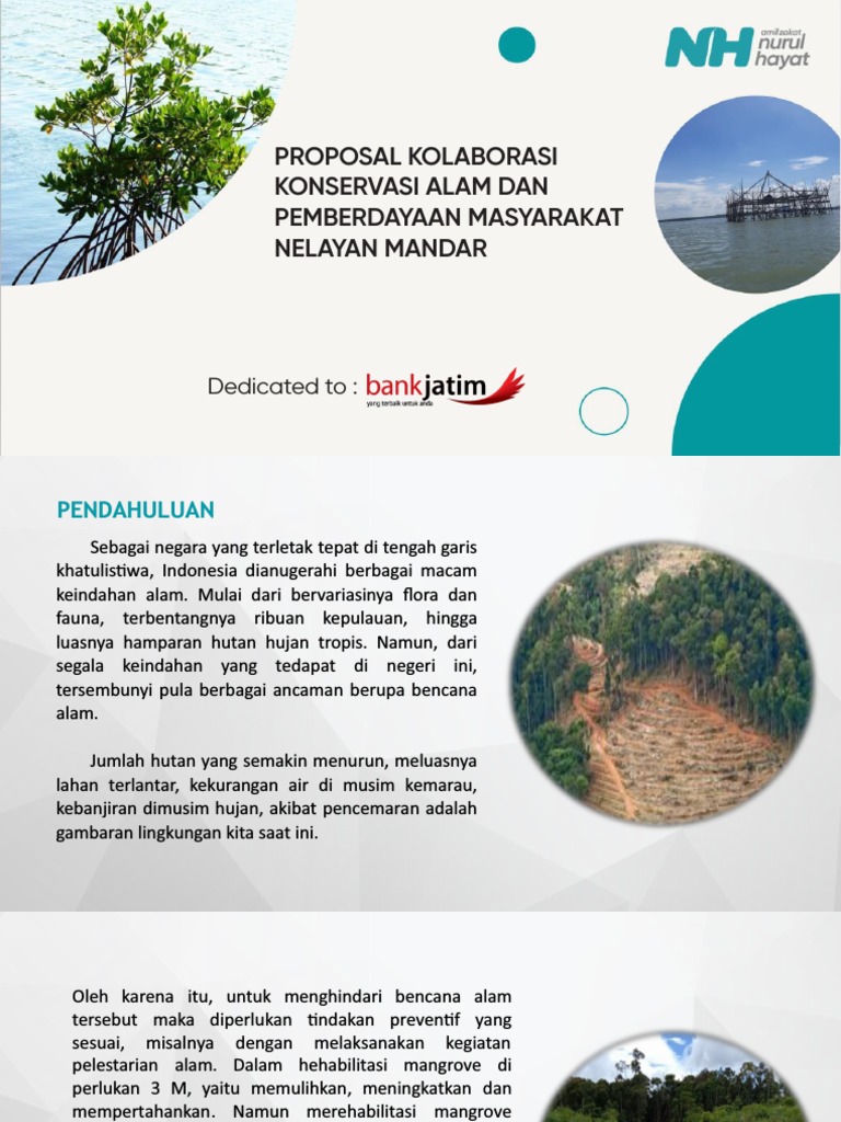 Proposal Kolaborasi Program Mangrove | PDF