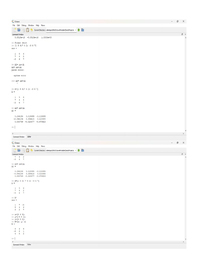 Matrices Octave | PDF