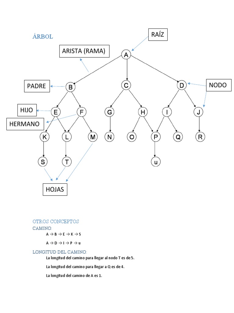 Resumen Arboles | PDF | Informática teórica | Programación de computadoras