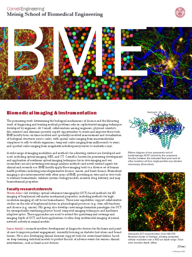 Biomedical Imaging And Instrumentation 2021 0 Download Free Pdf
