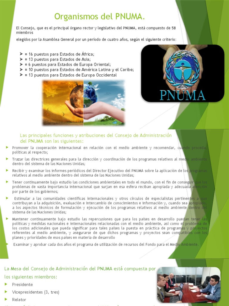 Organismos Del PNUMA | PDF | Programa del Medio Ambiente de las ...