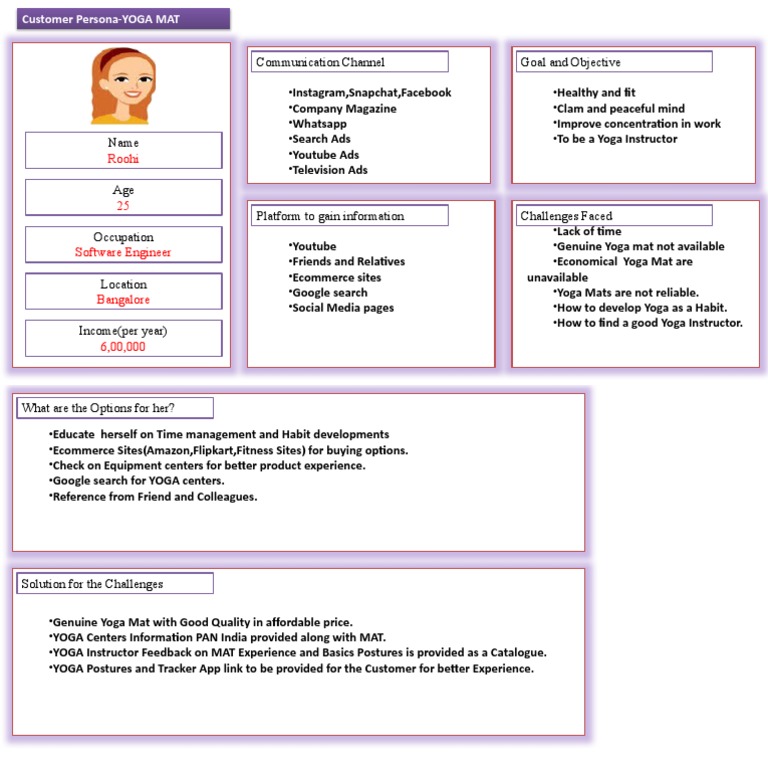 LIBA Assignment - Customer Persona | PDF
