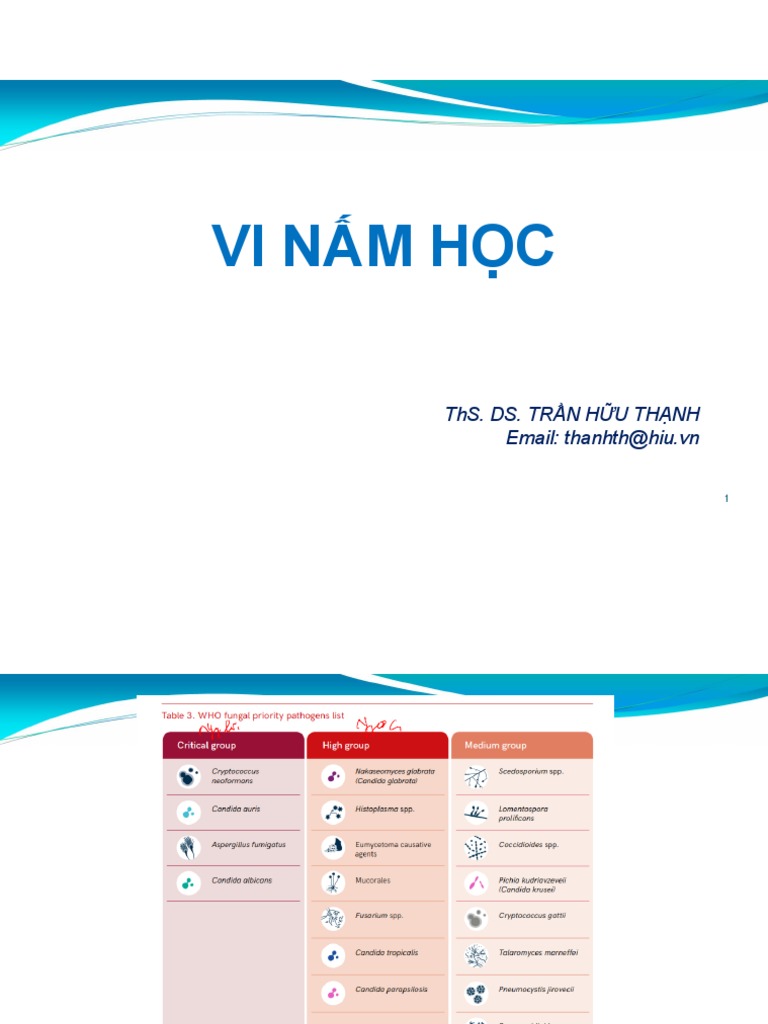 Bài 1-5 Vi Nấm | PDF