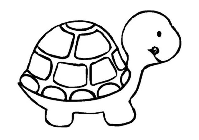 Gambar Kolase Kura-Kura | PDF