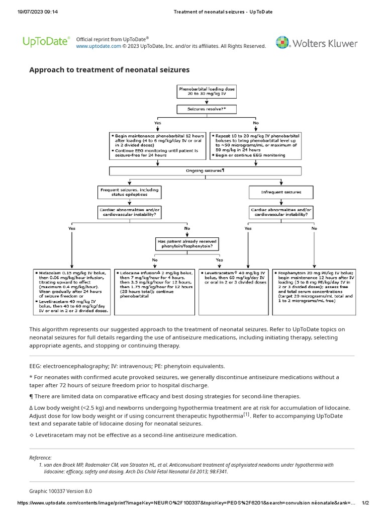 Algorithme - Treatment of Neonatal Seizures - UpToDate | PDF