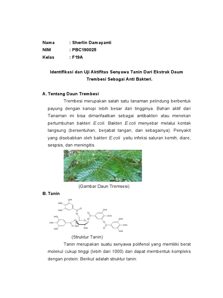 Penjelasan Senyawa Tanin Fitokimia | PDF