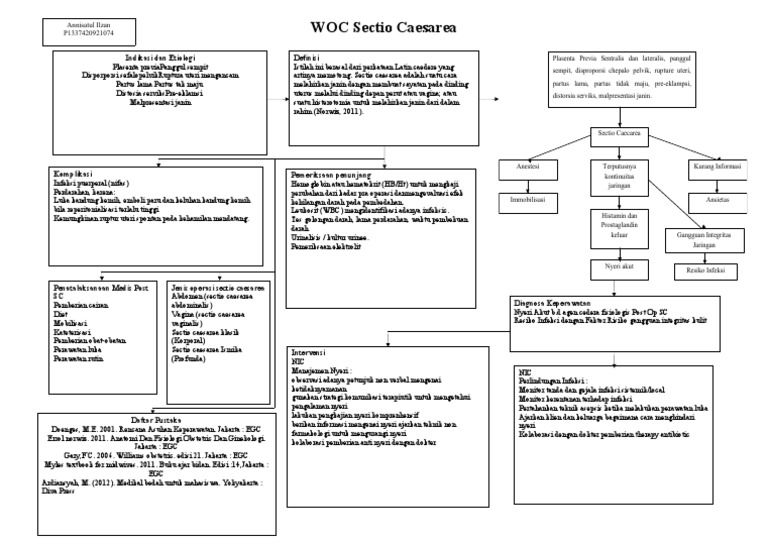 Woc SC | PDF