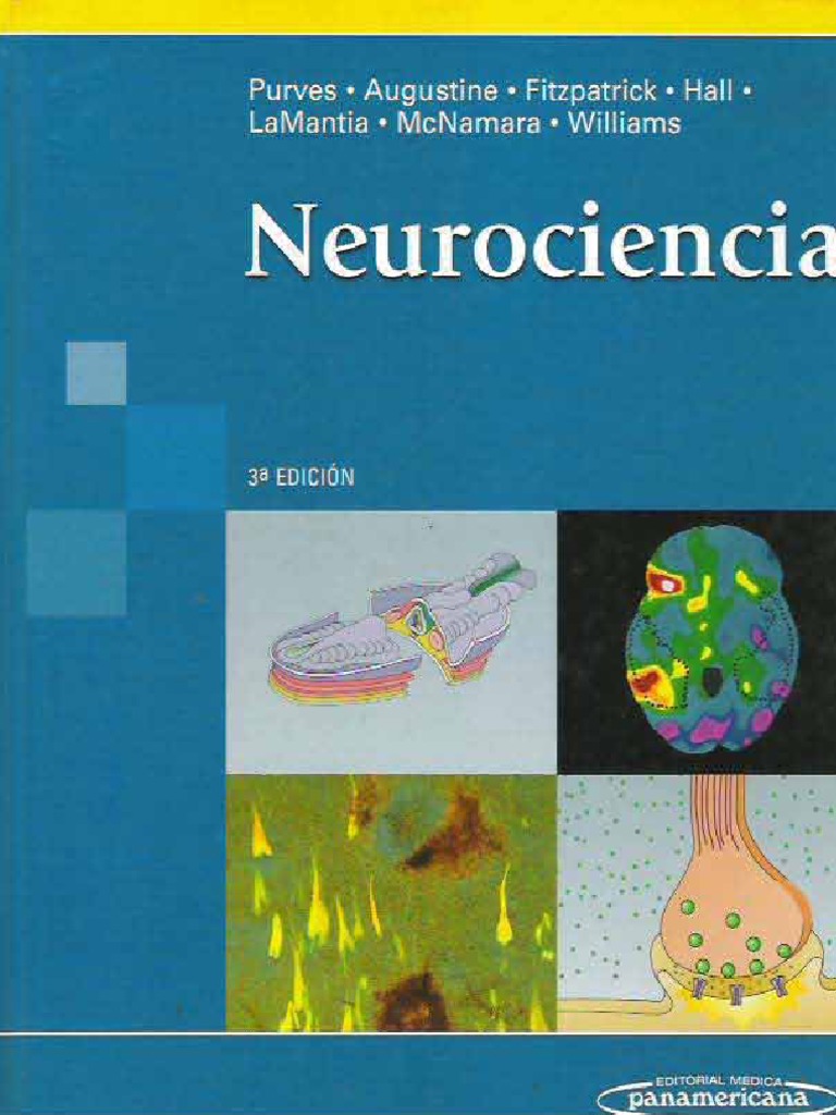 Neurociencia Dale Purves | PDF