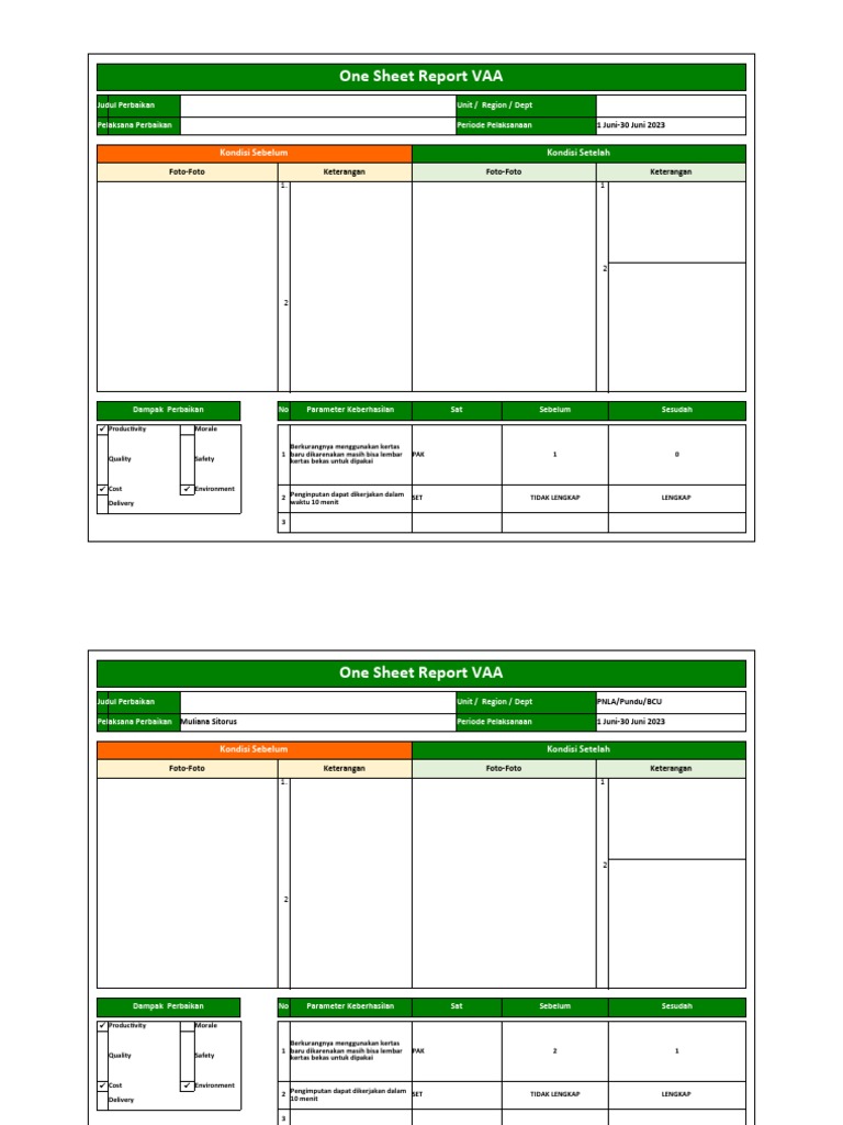 One Sheet Report Project VAA | PDF