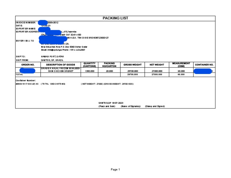 Final Packing List-Draft | PDF