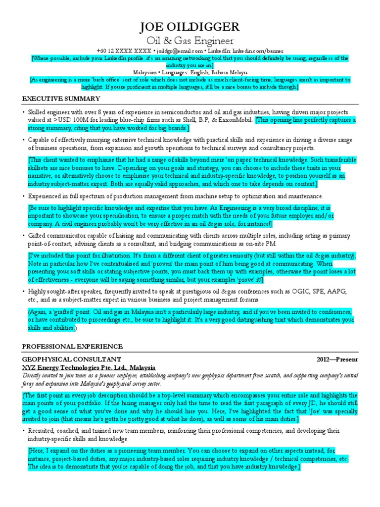 Oil & Gas CV for Engineering Roles | PDF | Consultant | Engineering