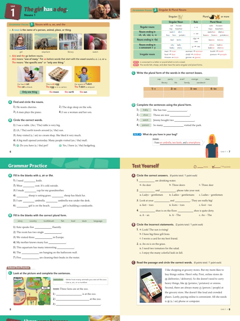 Grammar Stage Plus 1 - Sample | PDF | Plural | Grammatical Number