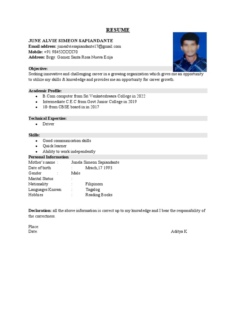 Simple Fresher Resume Format 5 | PDF