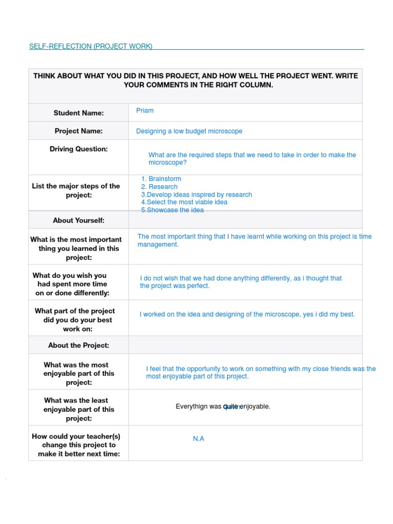 Self Reflection On Project Work | PDF