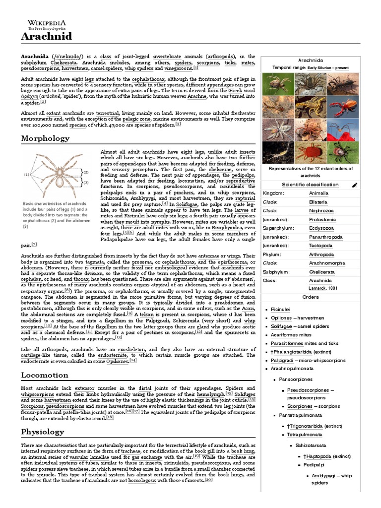 Arachnid - Wikipedia | PDF | Arachnids