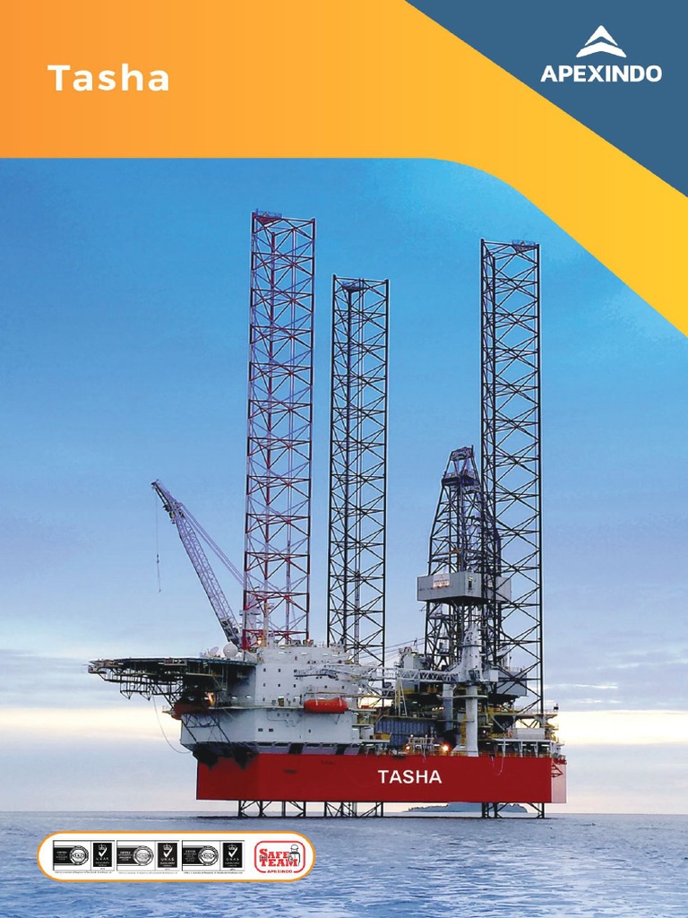 Rig Spec Tasha | PDF