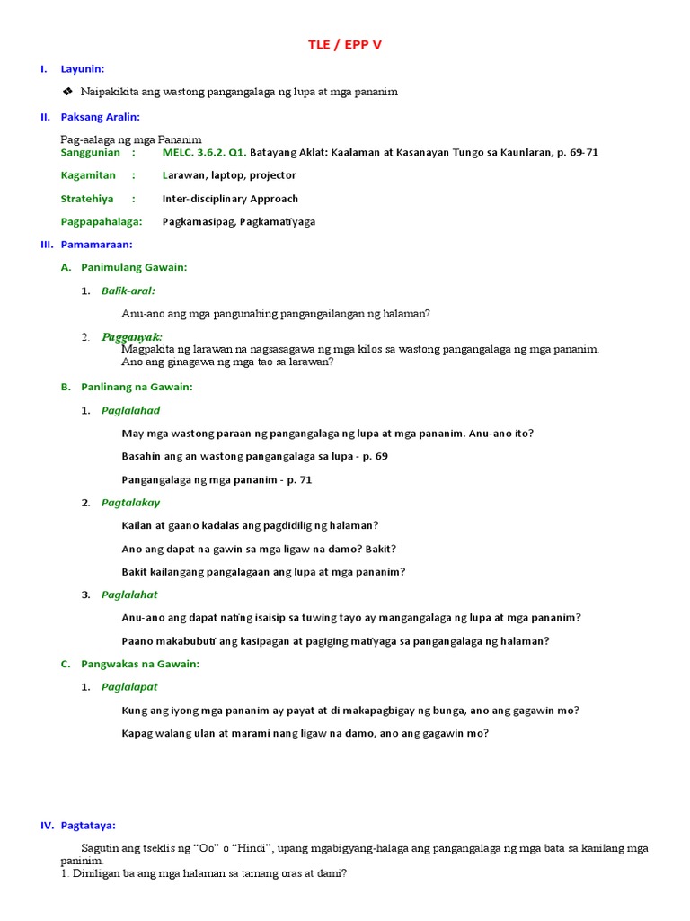 Lesson Plan in EPP 5 | PDF