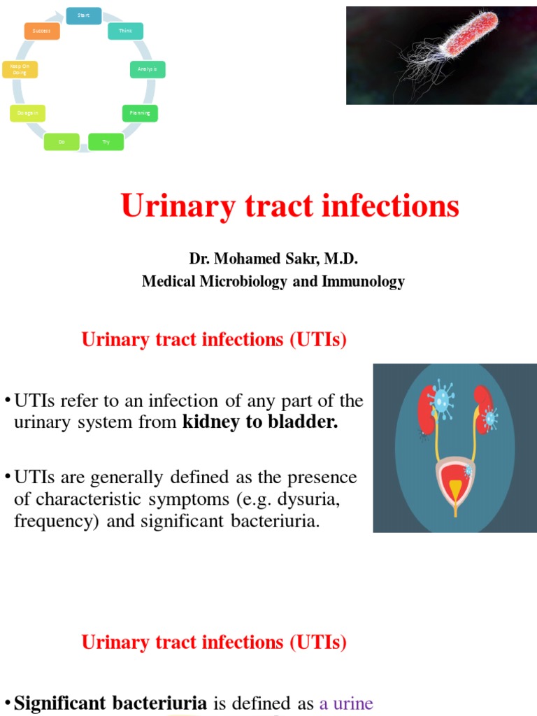 Micro - Utis 2 | PDF | Urinary Tract Infection | Pseudomonas Aeruginosa