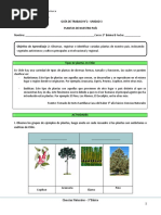 Guía N°3 Partes y Necesidades de Una Planta Ciencias Naturales Tercero ...