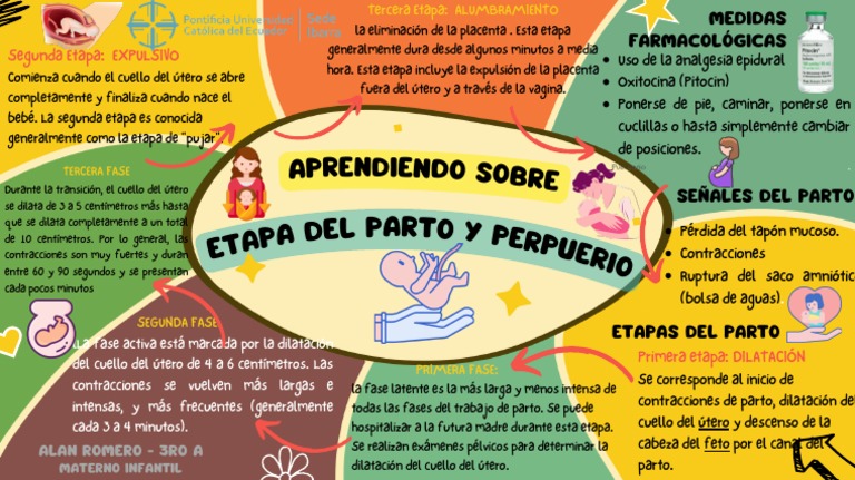 Mapa Mental - Etapa Del Parto y Perpuerio 1 | PDF | Parto | Embarazo humano