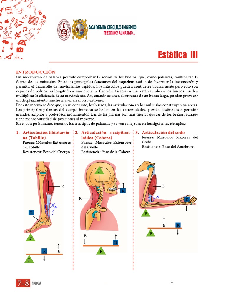 Torque - Estatica de Giro | PDF