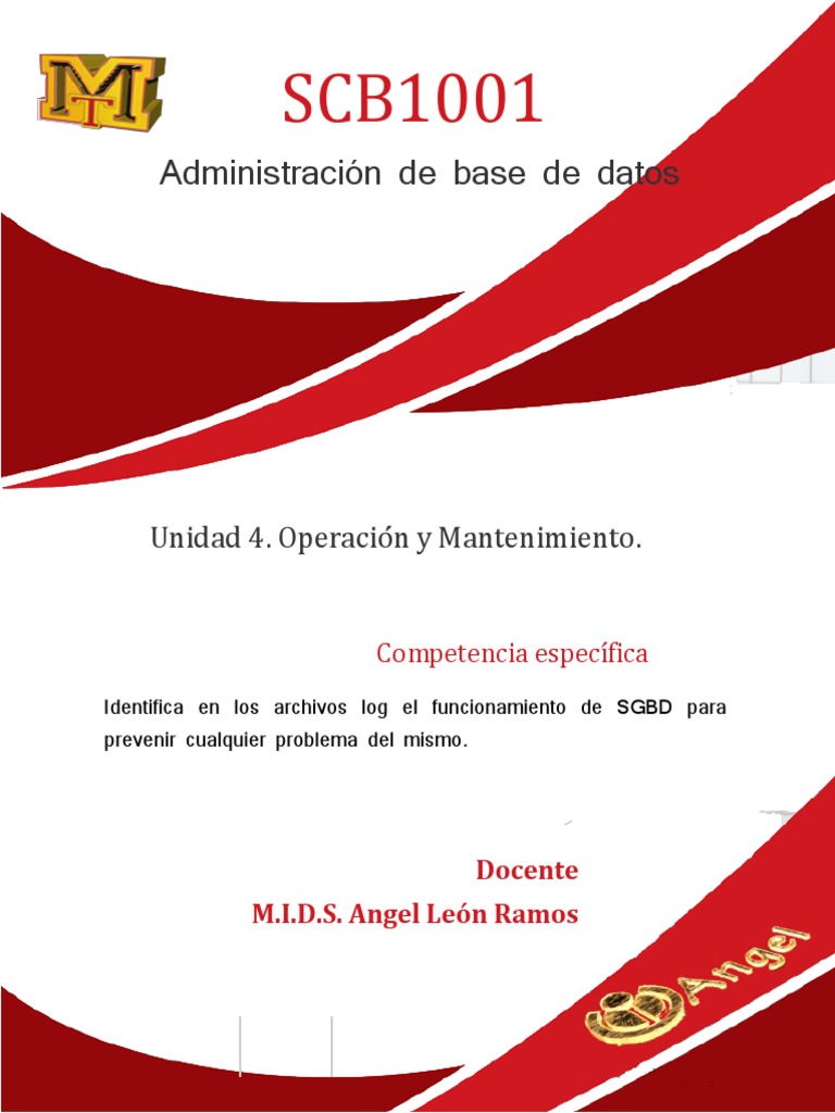 Mantenimiento y Operación de SGBD | PDF | SQL | Bases de datos