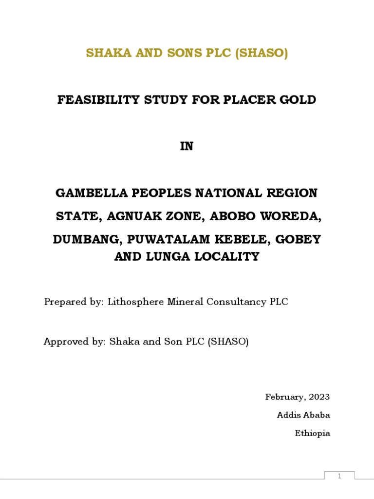 Feasibility Report of Gobey and Lunga Streams 2023 | PDF | Expense ...