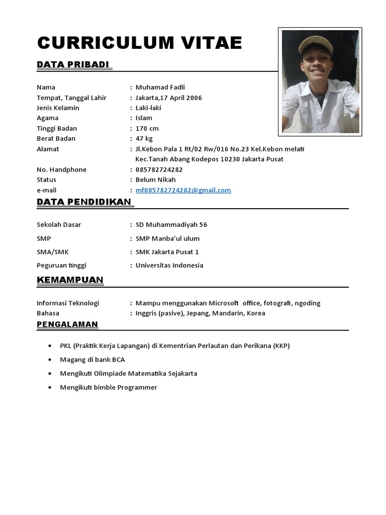 Contoh CV | PDF