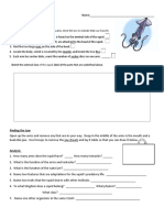 Labeled Female Squid Dissection Guide | PDF | Mollusca | Anatomical ...