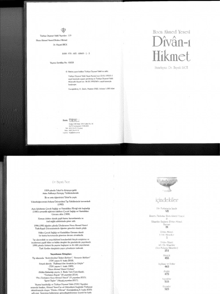 Divan I Hikmet | PDF