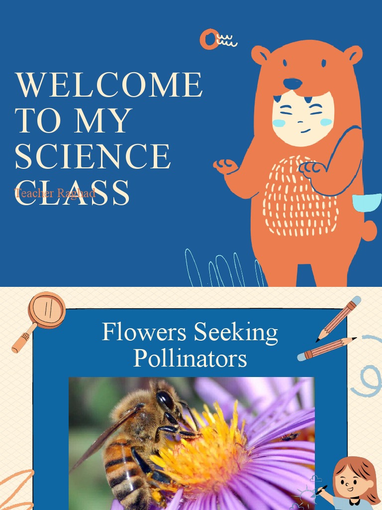 7th Grade Presentation | PDF | Flowers | Pollination