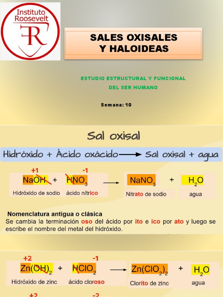 10.sales Oxisales | PDF