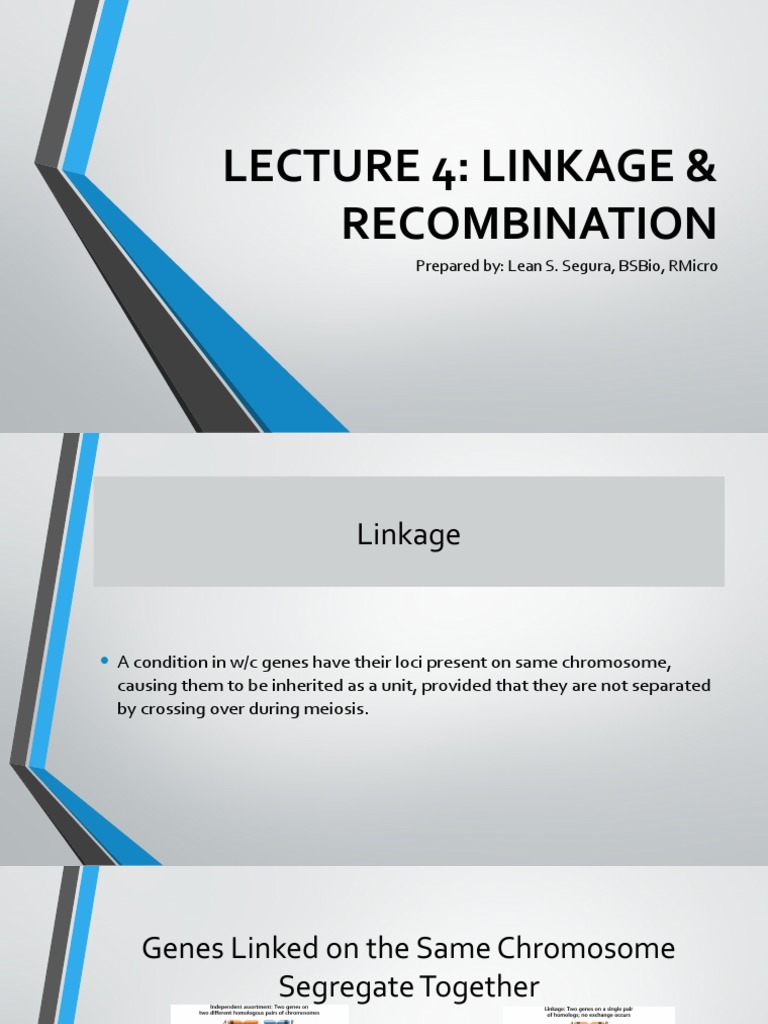 Lecture 4 | PDF | Genetic Linkage | Genetics