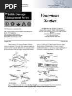 Awareness Safety Talk SNAKE HAZARDS | PDF | Snake | Venomous Snakes