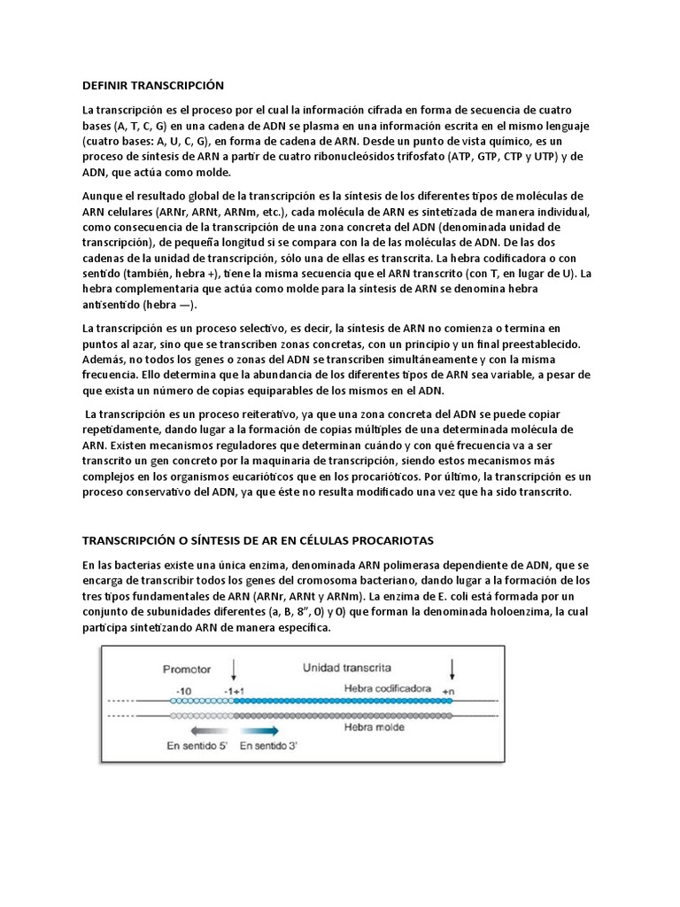 Transcripción de Adn | PDF | Rna | Rna Splicing