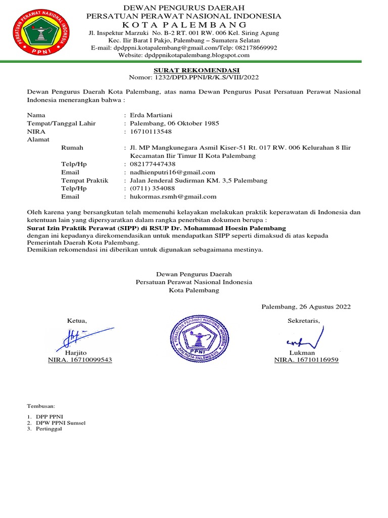 1231-Rekomendasi-Sipp-2022-Erda Martiani | PDF