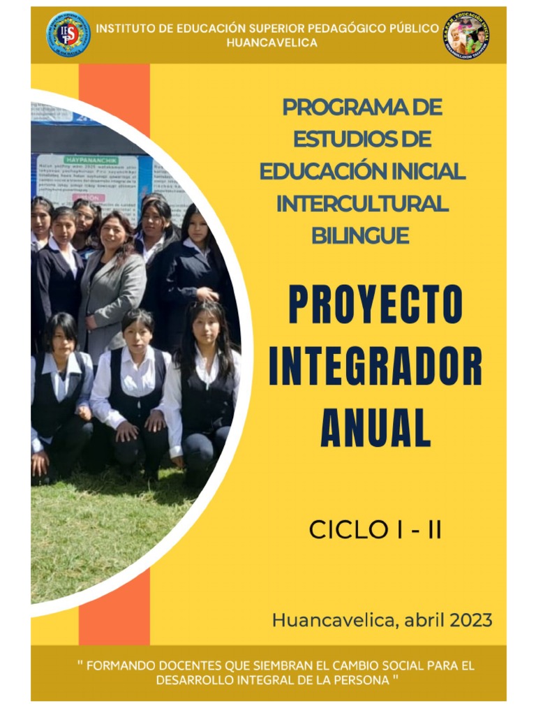 Proyecto Integrador Anual Eiib | PDF | Plan de estudios | Educación de ...