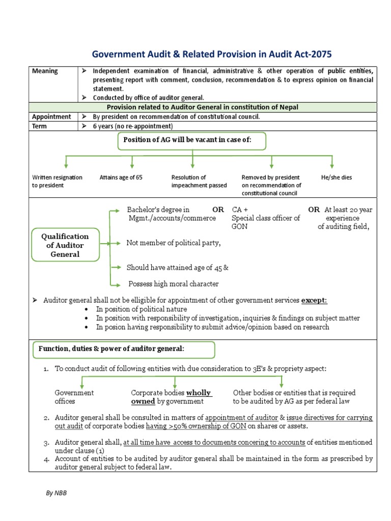 Government Audit | PDF | Audit | Regulatory Compliance
